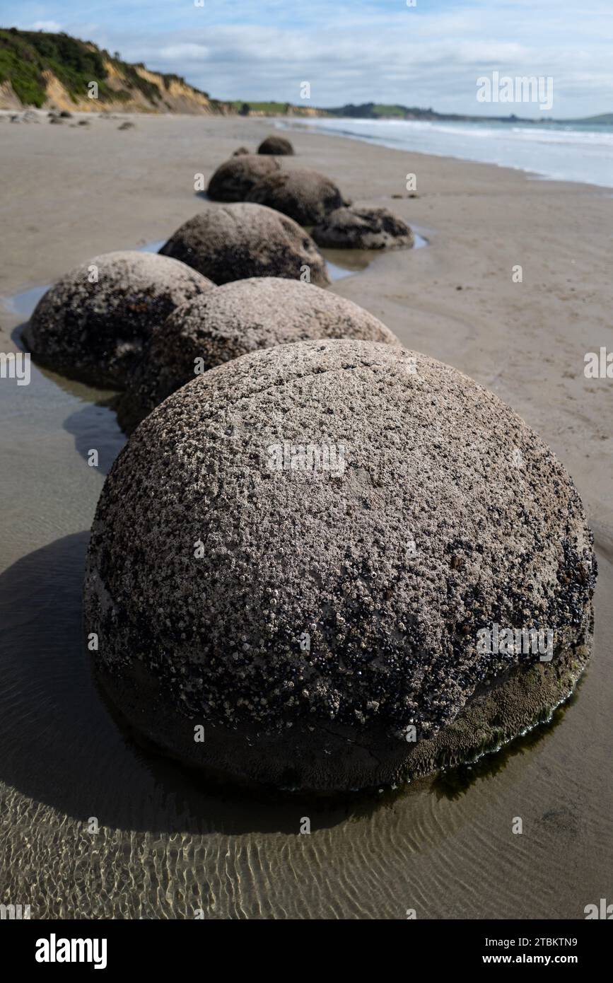 Road trip around the South Island of New Zealand. Moeraki Boulders ...