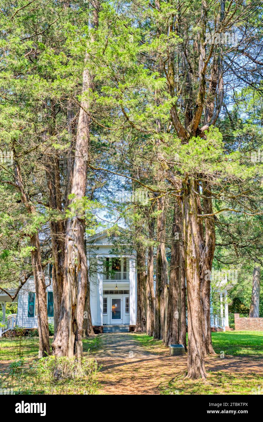 The tree lined walkway leading to Rowan Oak, the home of William ...