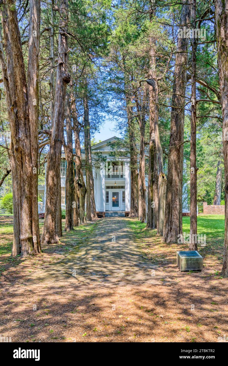 The tree lined walkway leading to Rowan Oak, the home of William ...