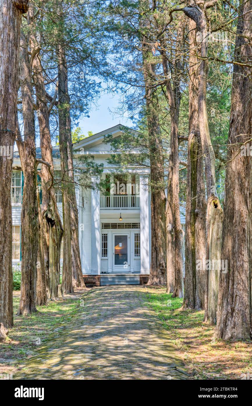 The tree lined walkway leading to Rowan Oak, the home of William ...