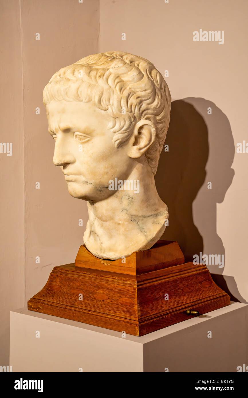 The head of a Roman statue displayed in the University Museum on the ...