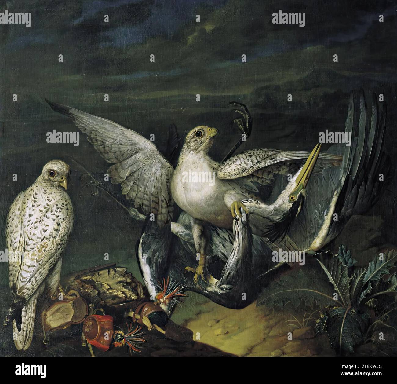 White greenland falcon hi-res stock photography and images - Alamy