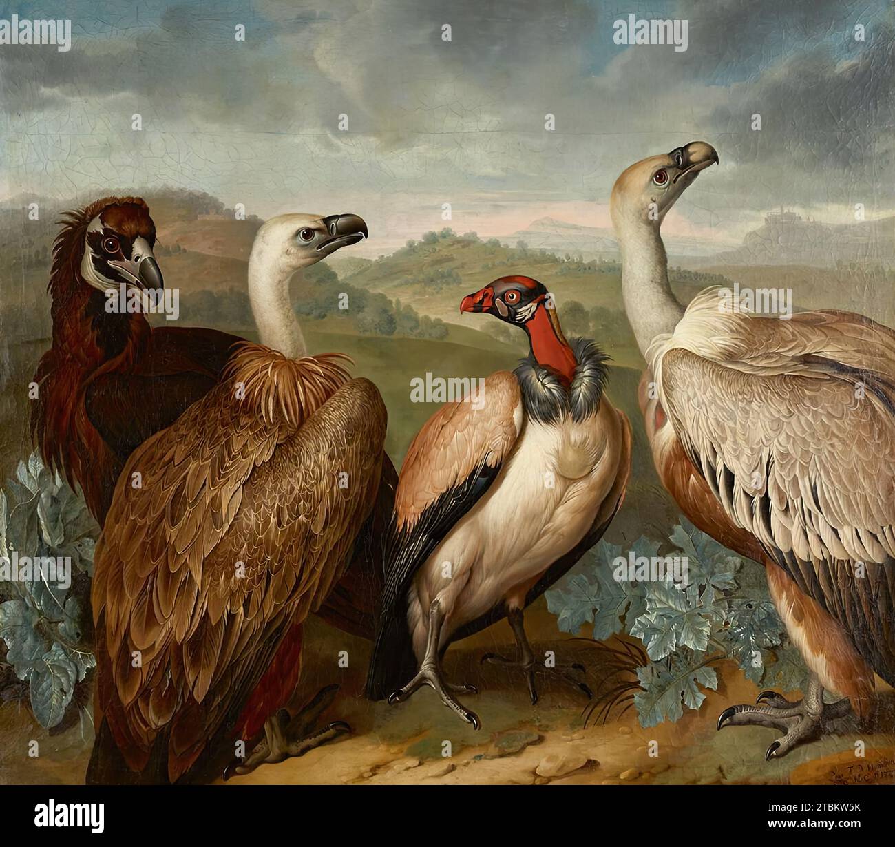 Four different birds hi-res stock photography and images - Alamy