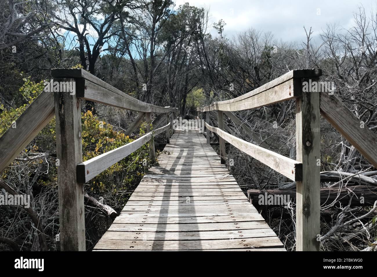 This is a part of a series of photos that I shot at Lake Waco in Waco ...