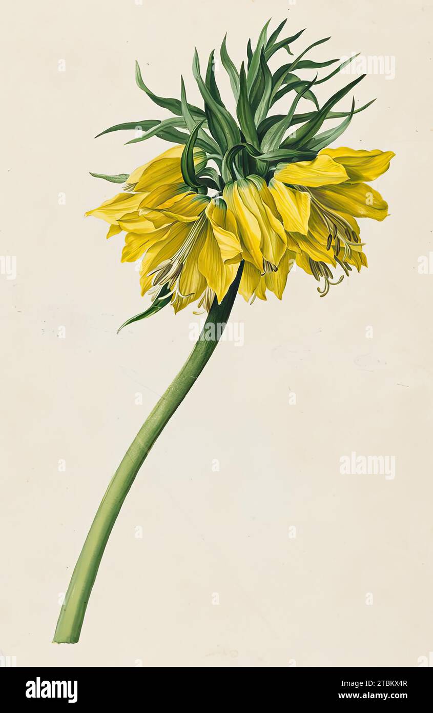 Imperial crown, 1830/1840 Stock Photo - Alamy