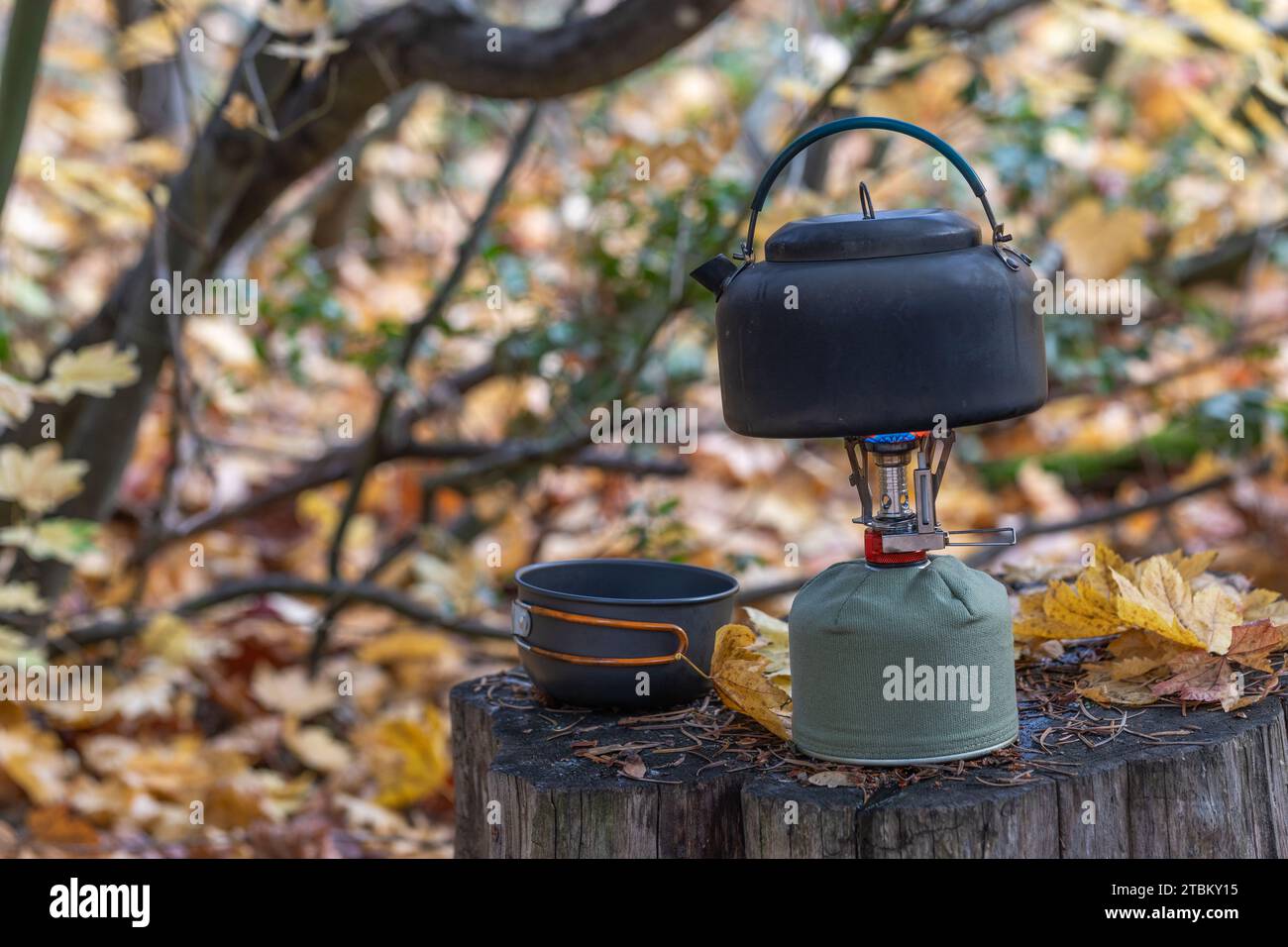 Tea Kettle on portable gas stove with coffee cup on a tree stump at ...