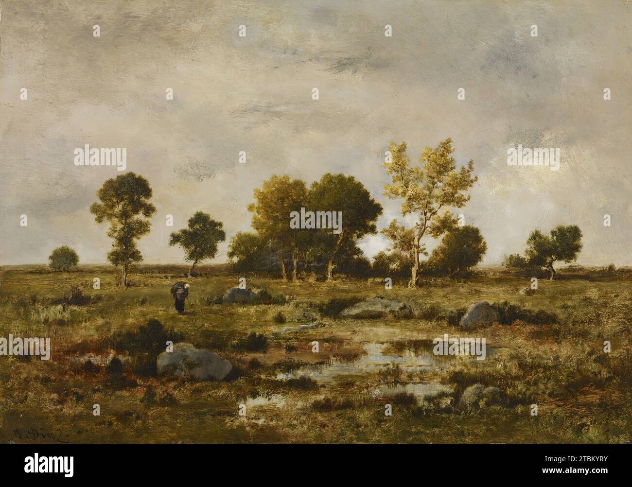 Marshland under overcast sky hi-res stock photography and images - Alamy