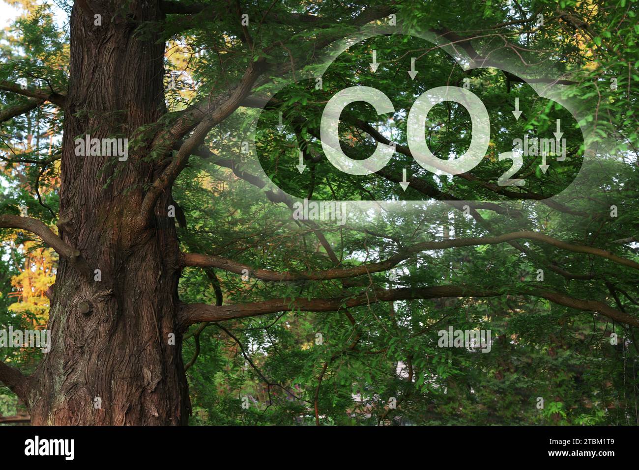 Reduce CO2 emissions. Illustration of cloud with CO2 inscription ...