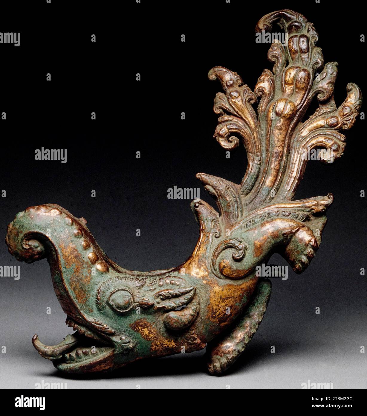 Mythical Aquatic Creature (Makara), 10th century Stock Photo - Alamy