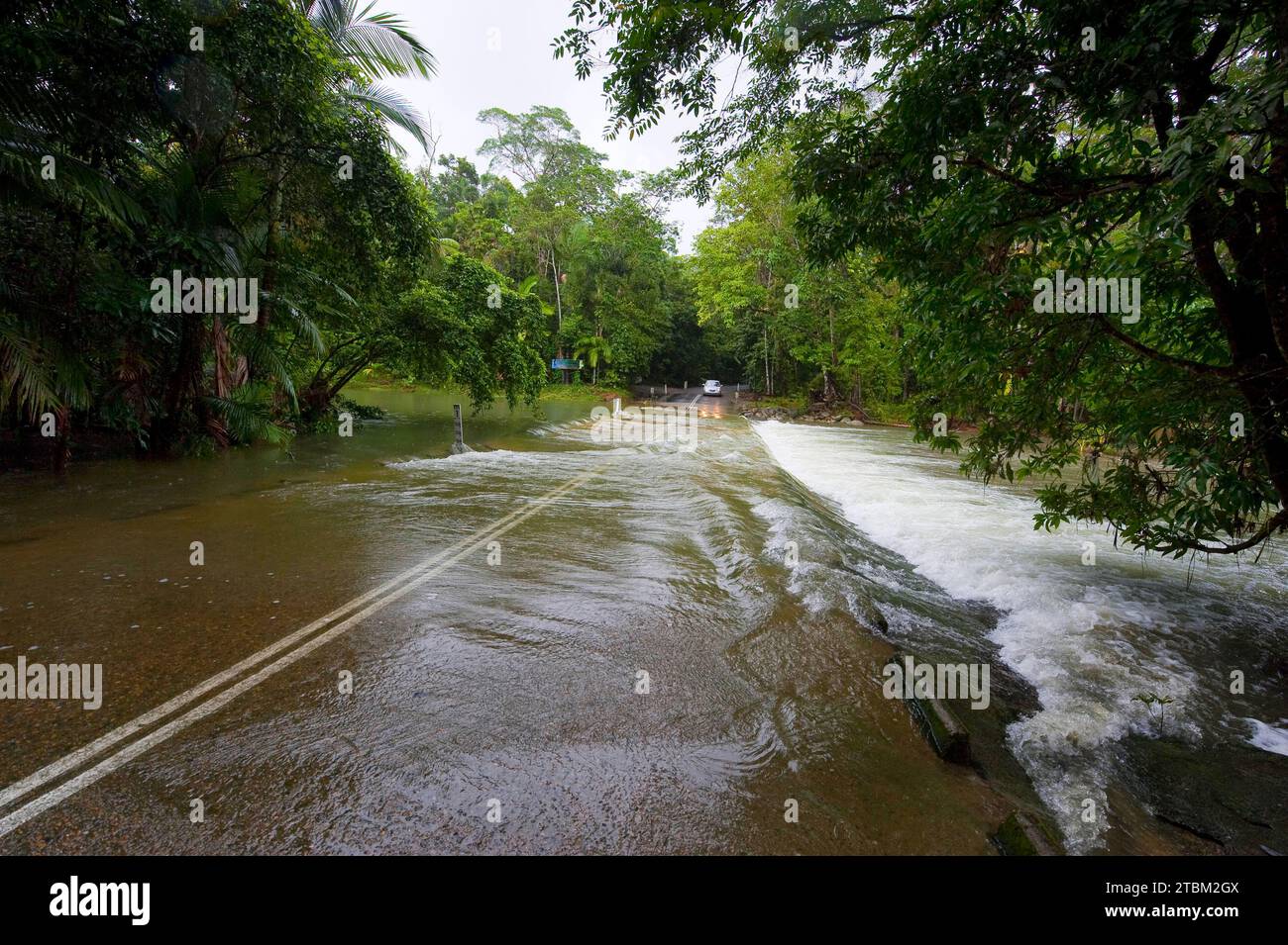 Flooded road, climate, river, rainforest, jungle, rain, flood, flooding ...