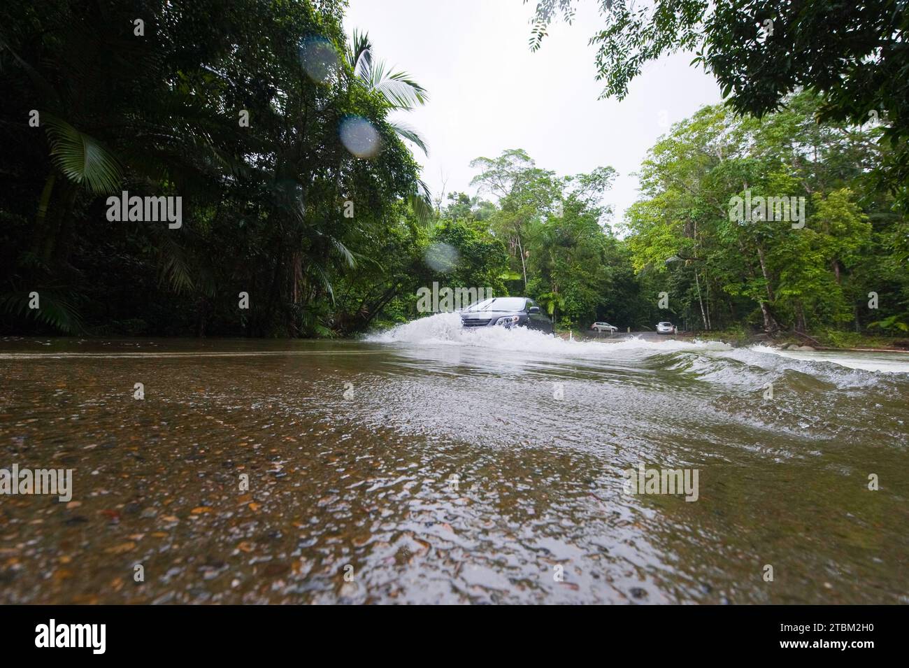 Flooded road, climate, river, rainforest, jungle, rain, flood, flooding ...