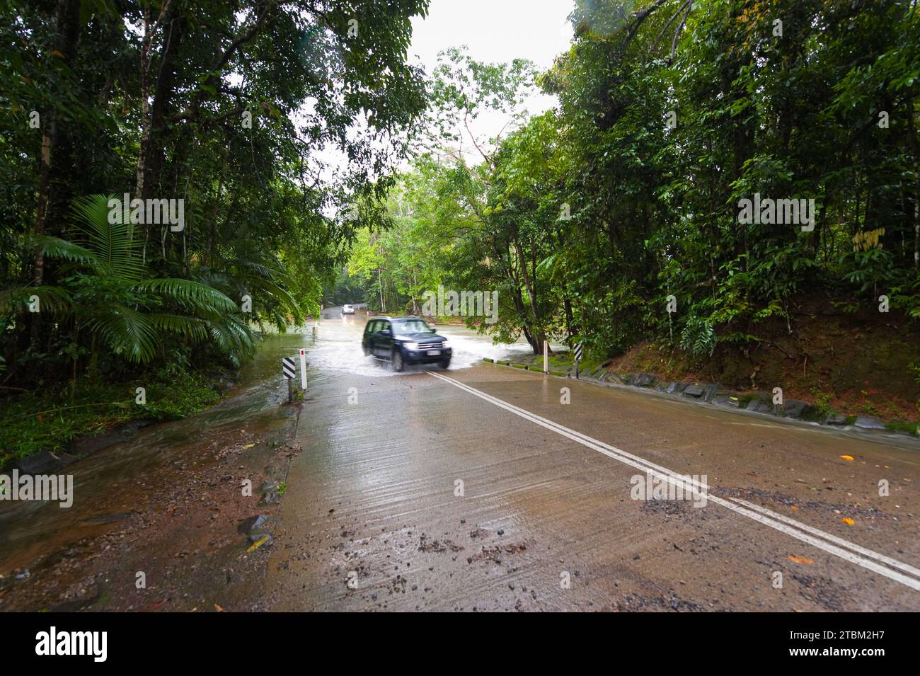 Flooded road, climate, river, rainforest, jungle, rain, flood, flooding ...