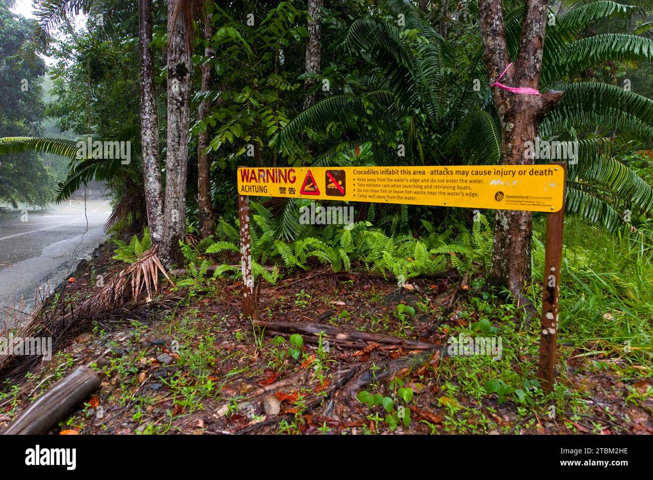 Warning of crocodiles, crocodile, danger, warning sign, caution ...