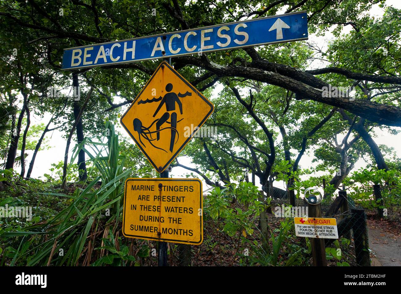 Warning of jellyfish, sea wasps, sea, danger, warning sign, caution ...