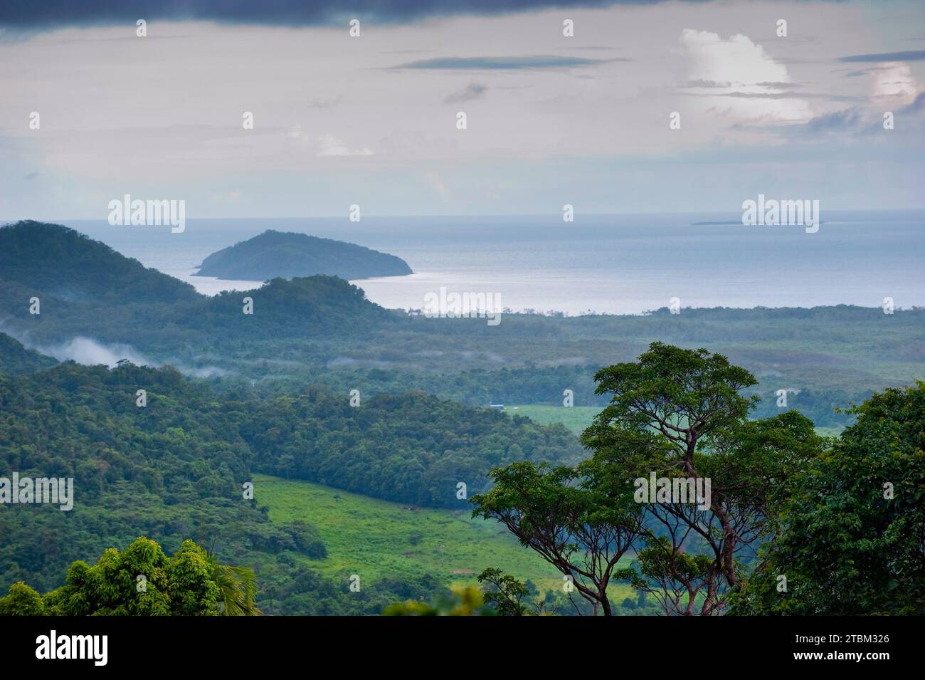 Rainforest, jungle, tropical forest, tropics, rain, nature, landscape ...