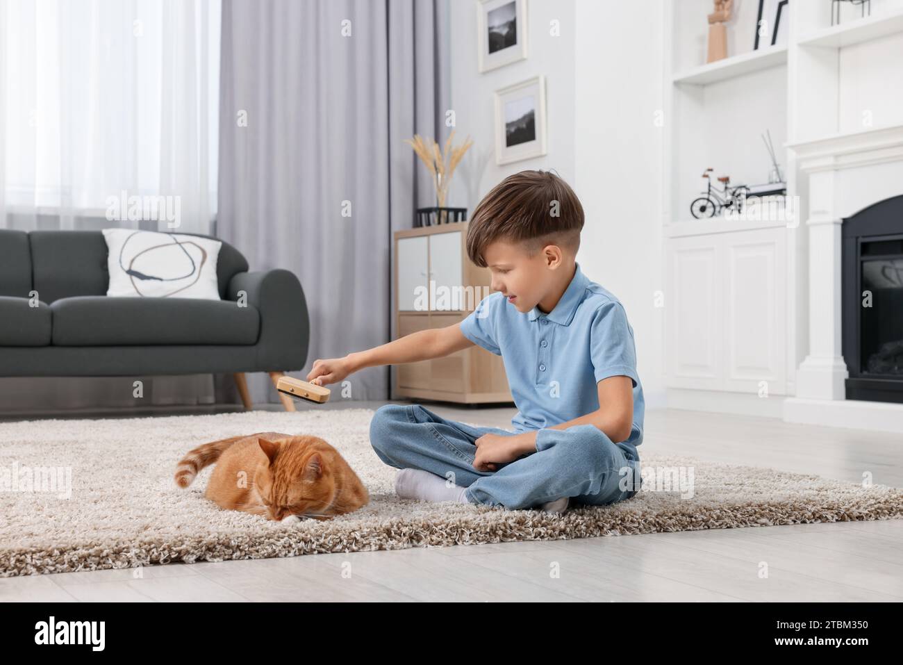 Boy brushing pet hi-res stock photography and images - Alamy