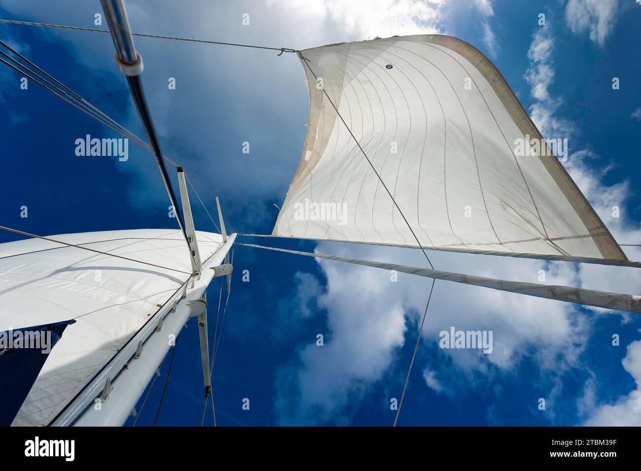 White sails of a sailing ship in the sun, sea, water sports, leisure ...
