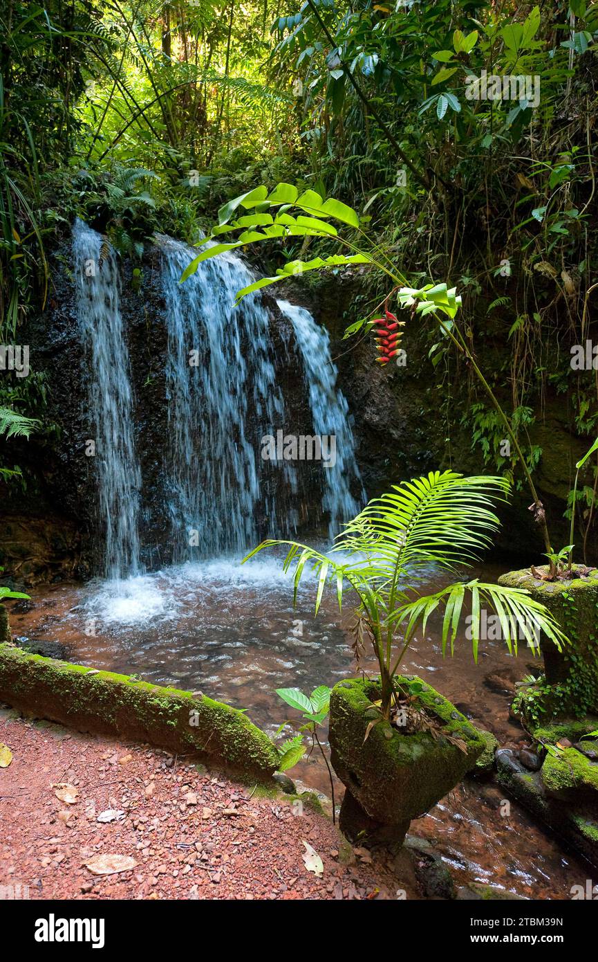 Park with waterfall, tropical, tropics, travel, holiday, Paronella Park ...