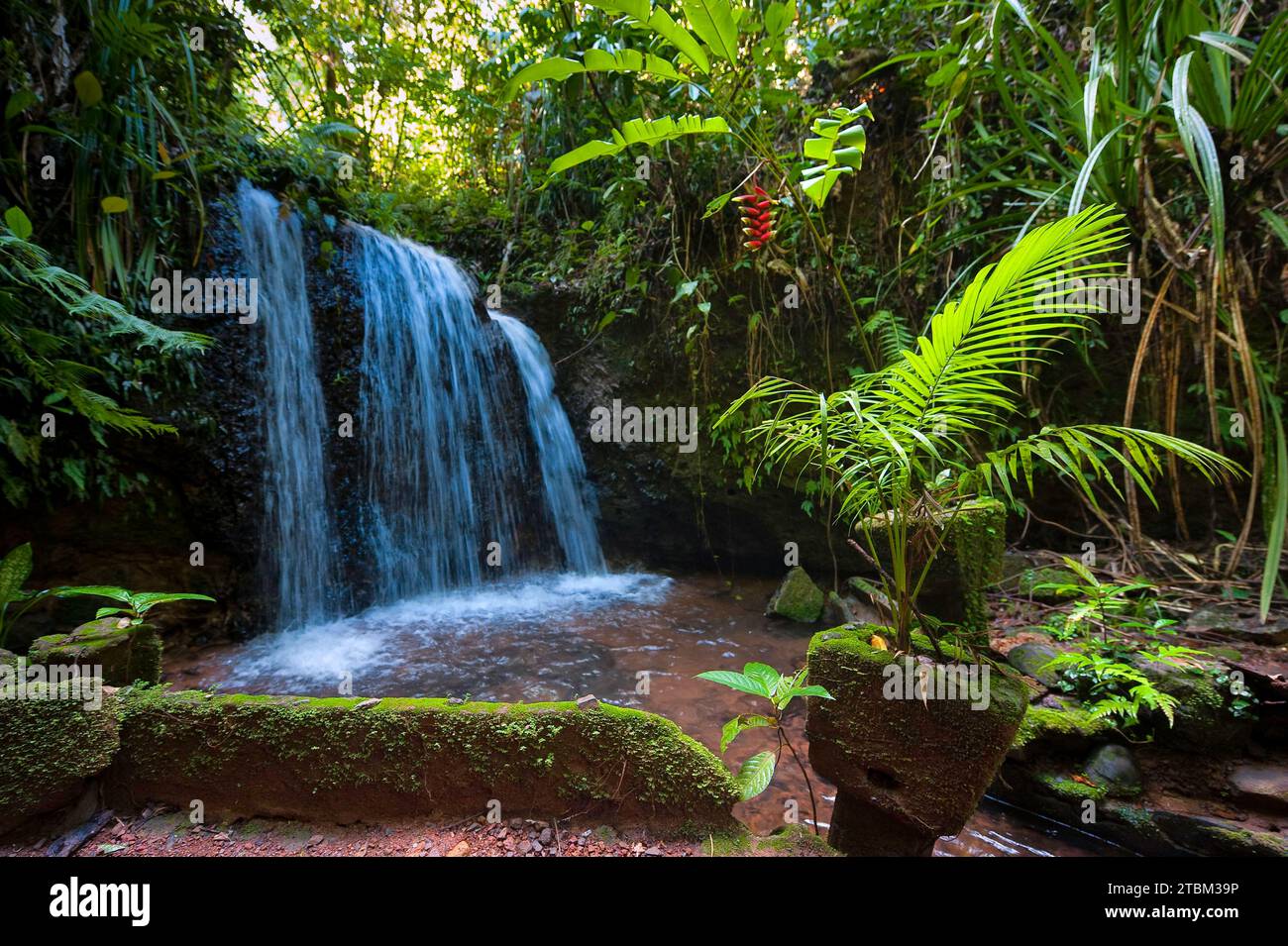 Park with waterfall, tropical, tropics, travel, holiday, Paronella Park ...