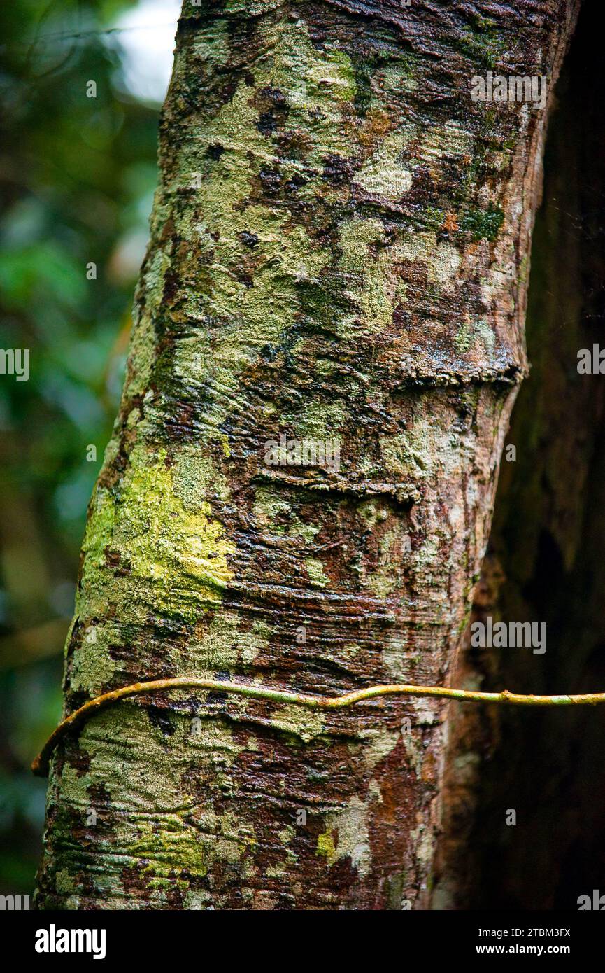 Structure, pattern, deposits, patina, art, nature, nature art on ...