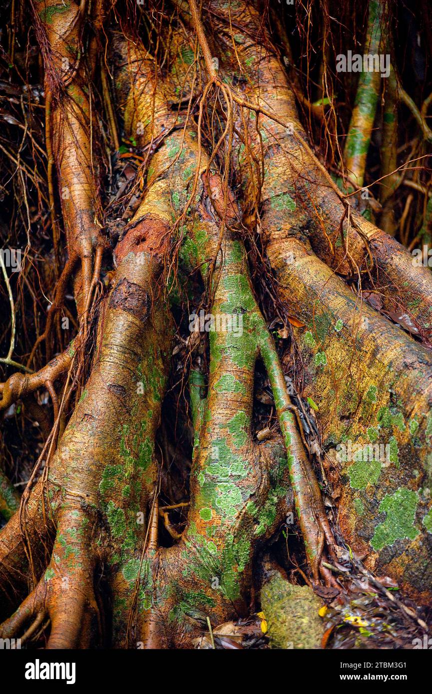 Structure, pattern, deposits, patina, art, nature, nature art on ...