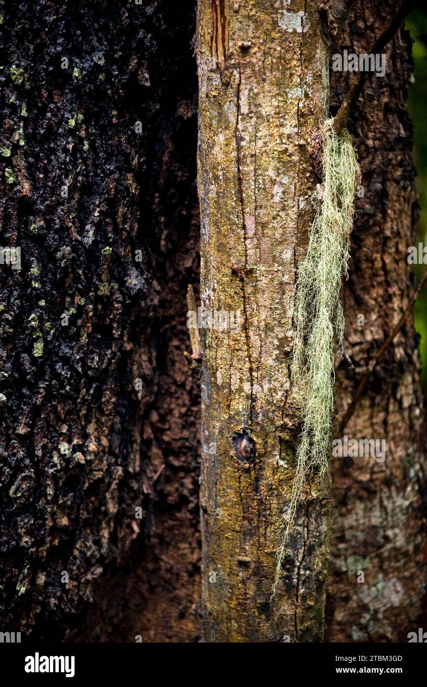 Structure, pattern, deposits, patina, art, nature, nature art on ...