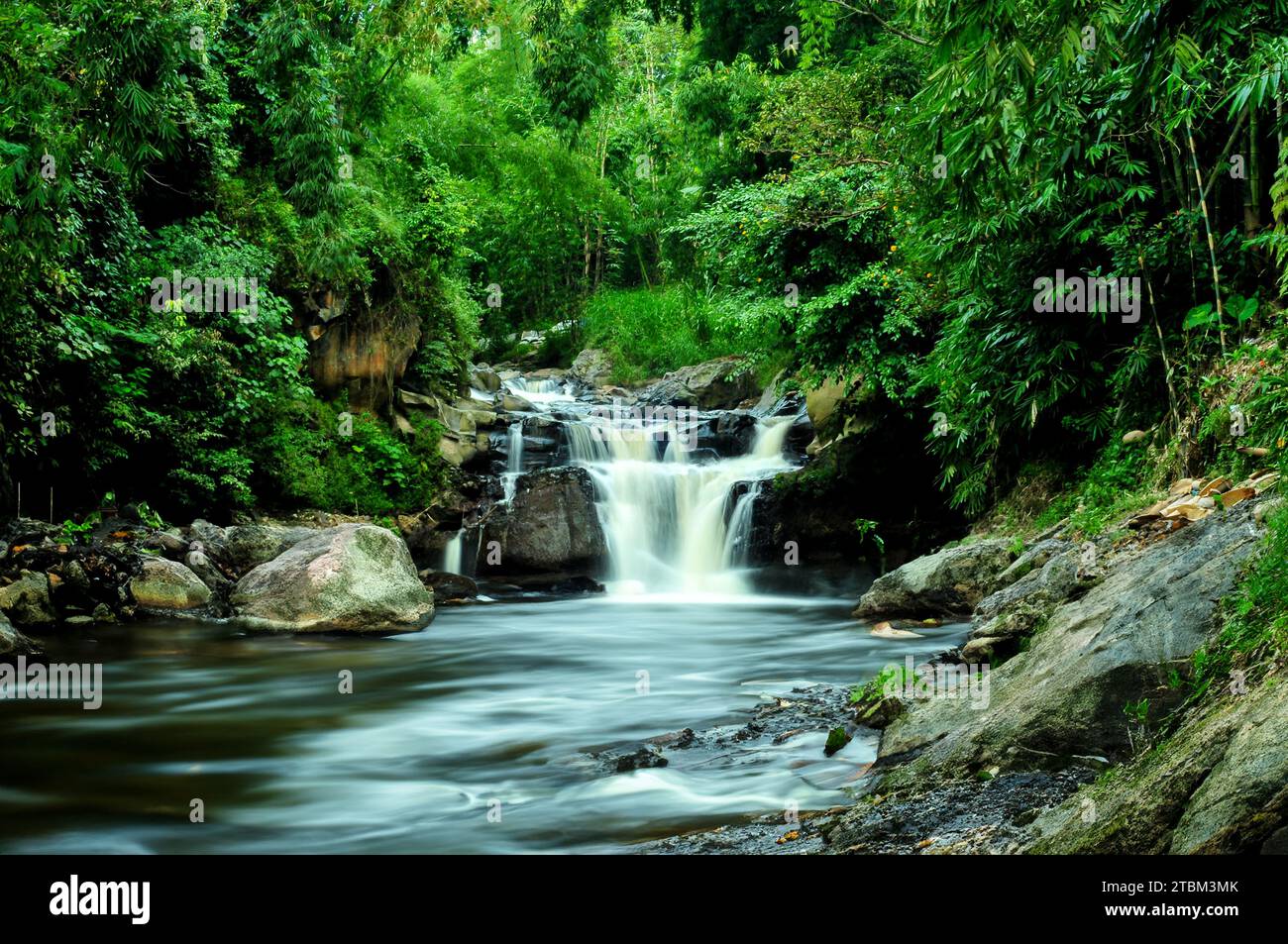 The water flow flows in a rocky river with lots of wild trees Stock ...