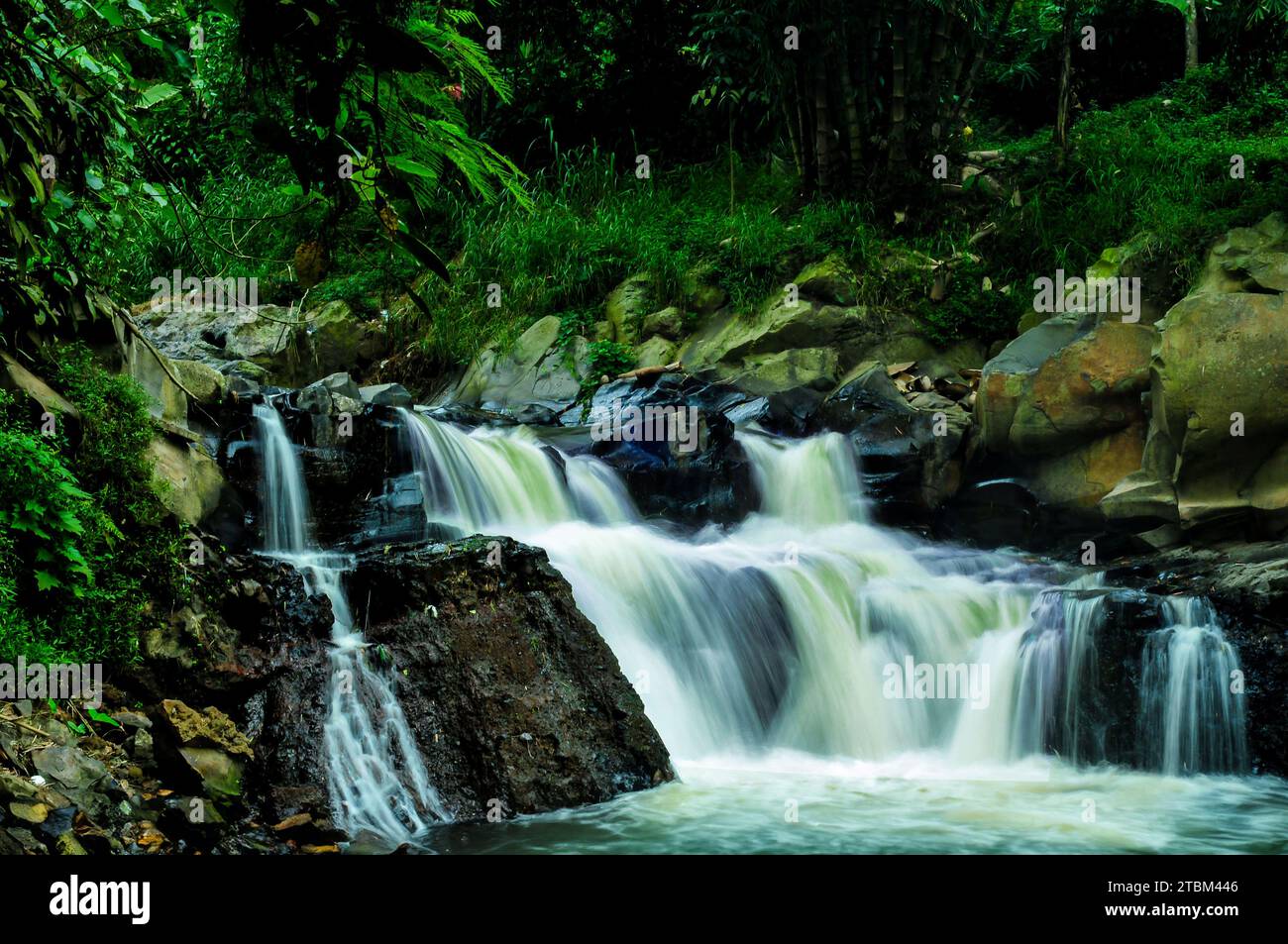 The water flow flows in a rocky river with lots of wild trees Stock ...