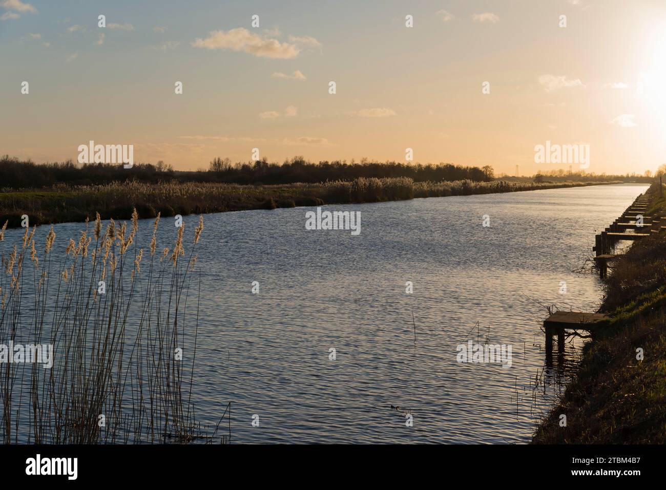 Canal, De Deelen, landscape conservation area, nature reserve ...