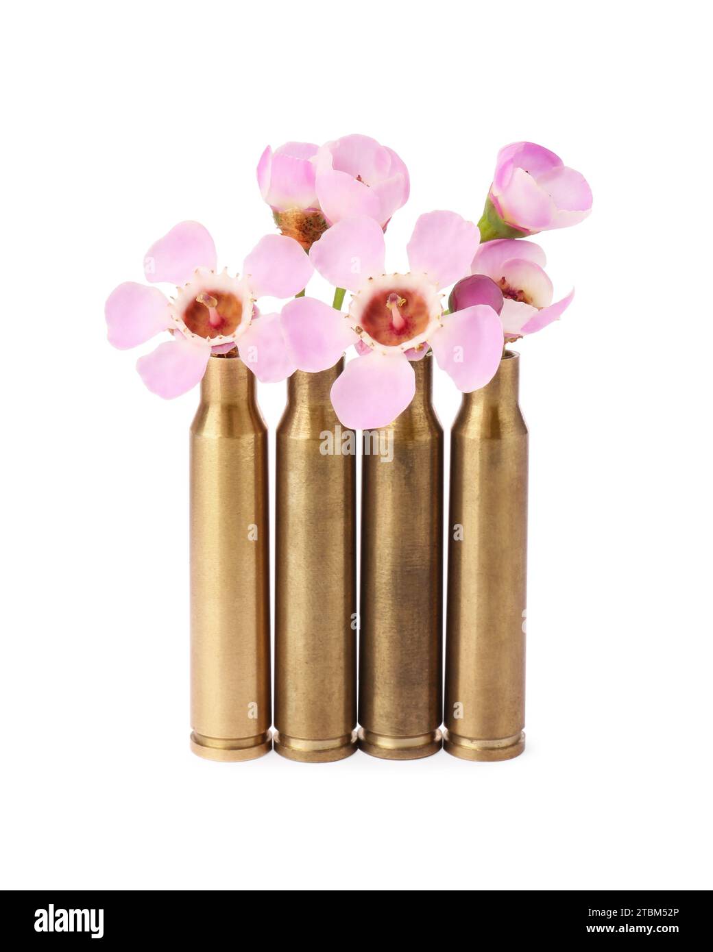 Beautiful flowers in bullet cases isolated on white Stock Photo - Alamy