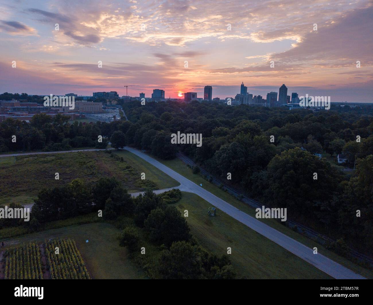 Drone Photos of Sunrise Over The Raleigh NC Sunflower Fields Stock ...