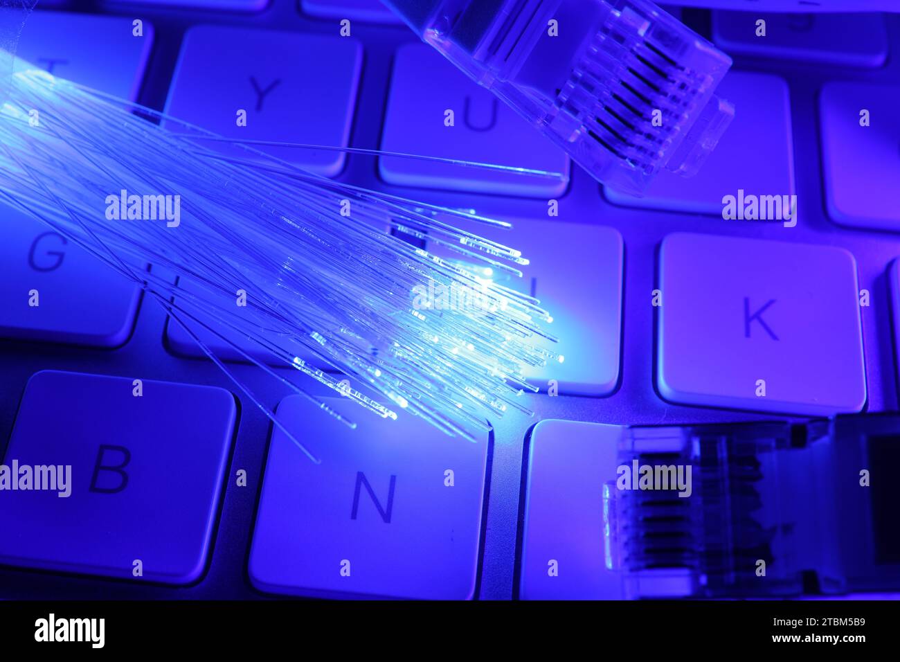 What Color Are Fiber Optic Modular Connectors at Molly Taveras blog