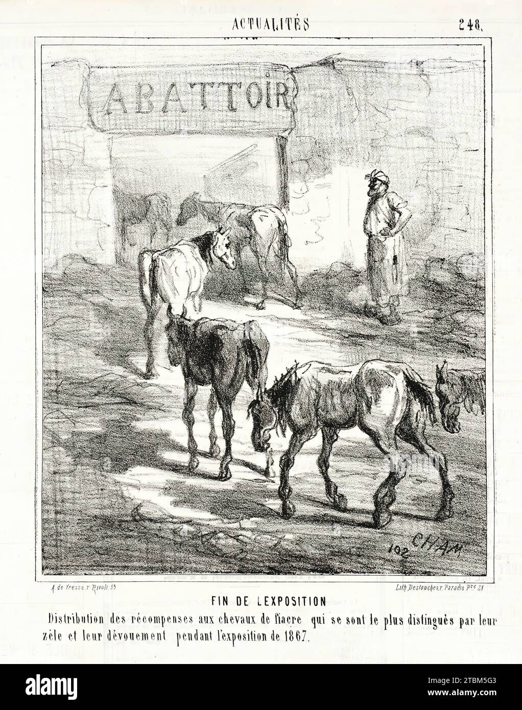 Abattoir horse hi-res stock photography and images - Alamy