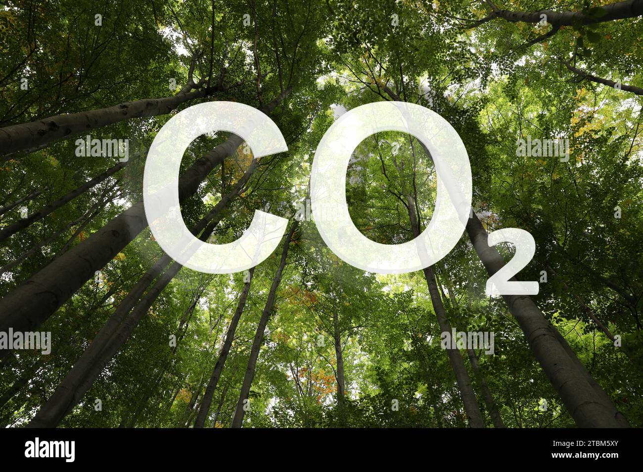 Concept of clear air. CO2 inscription and beautiful green trees, bottom ...