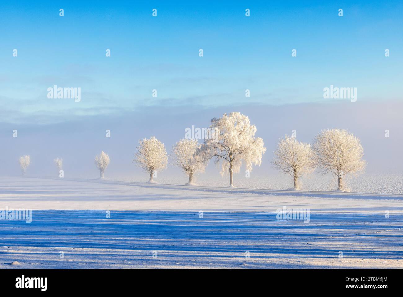 Frost line hi-res stock photography and images - Alamy