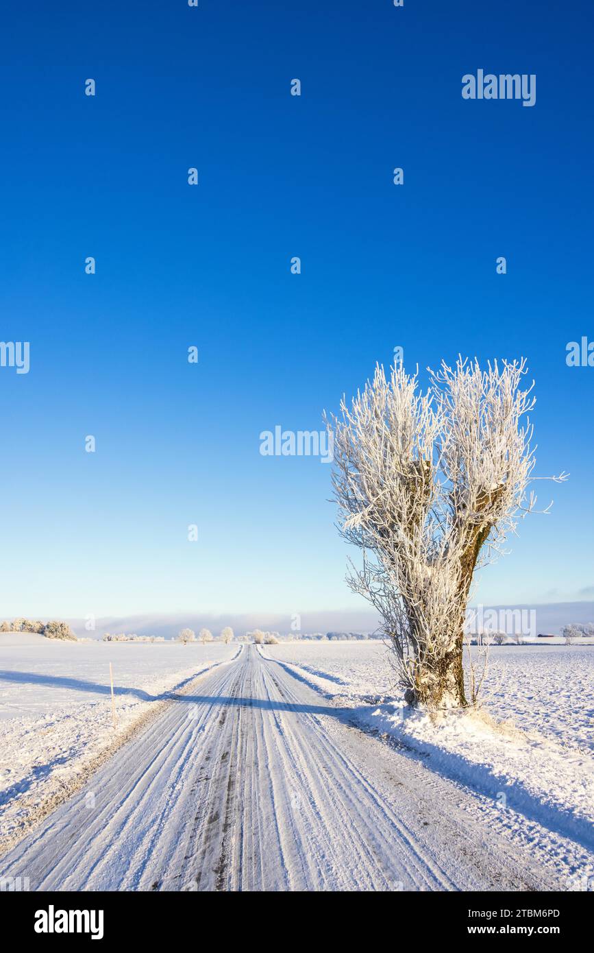 Frosty cold winter countryside landscape hi-res stock photography and ...