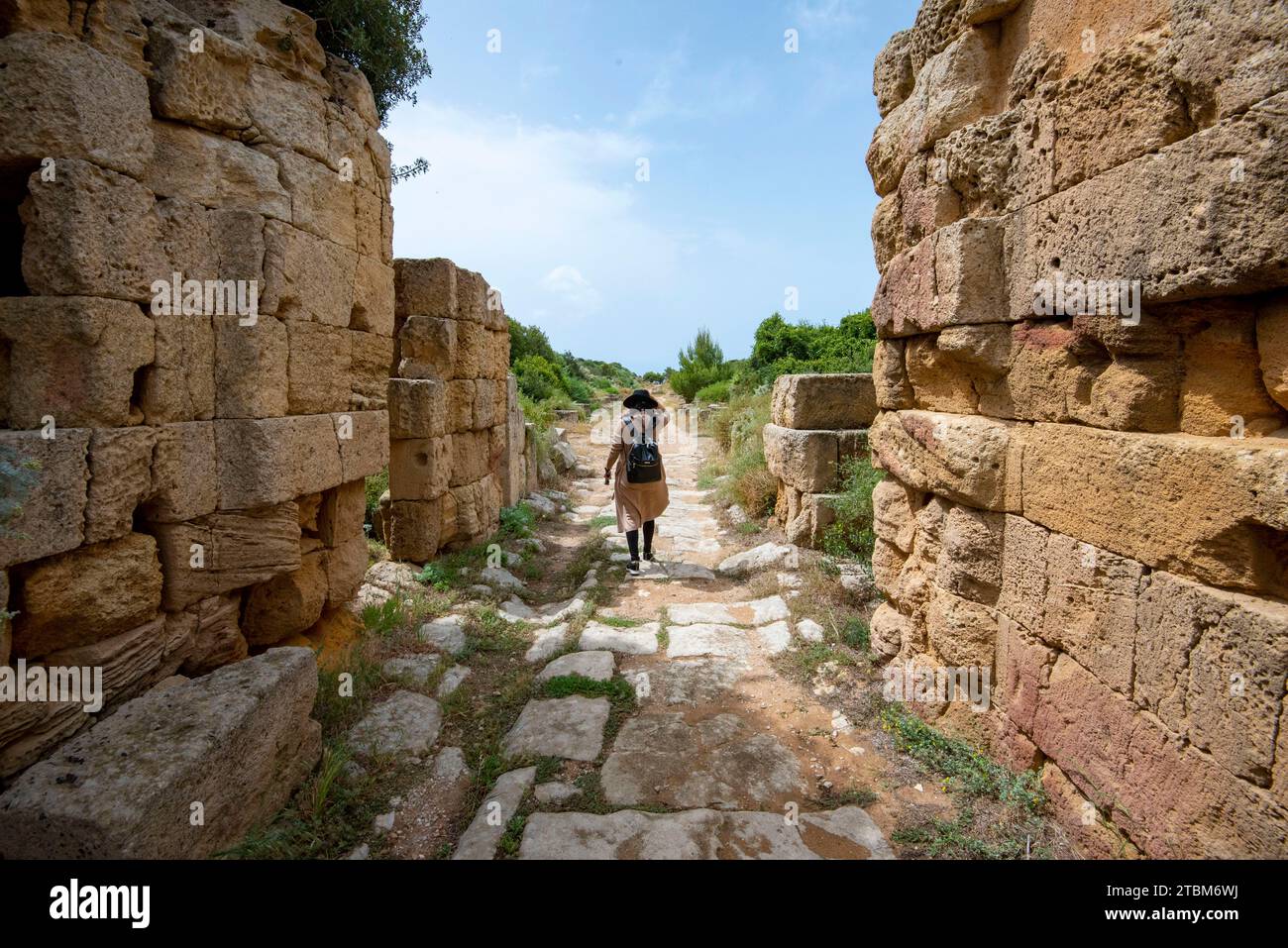 Archaeological park of selinunte hi-res stock photography and images ...