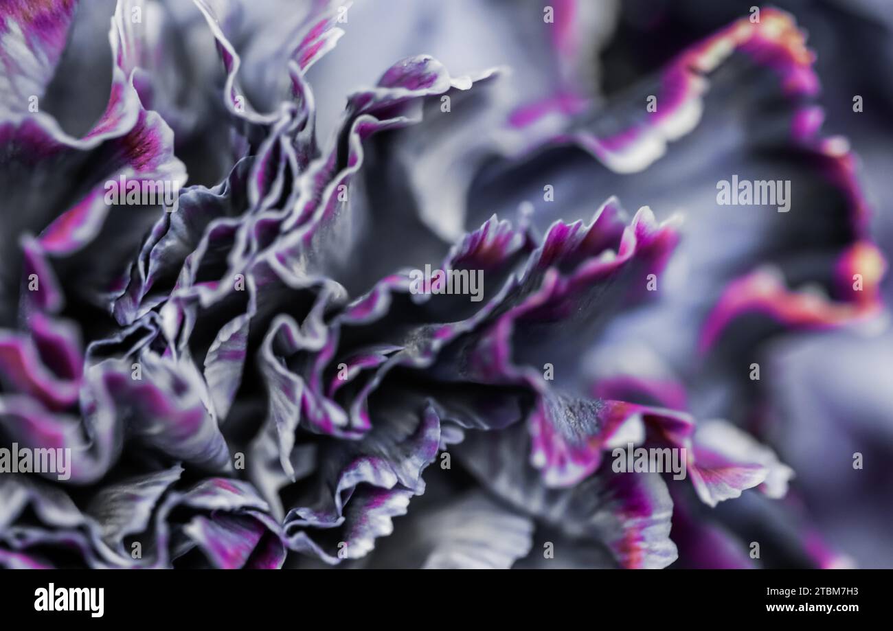 Retro art, vintage card and botanical concept, Abstract floral ...