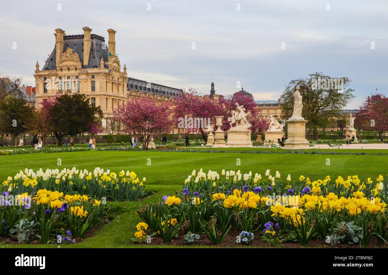 Marvelous spring Tuileries garden and view at the Louvre Palace in ...