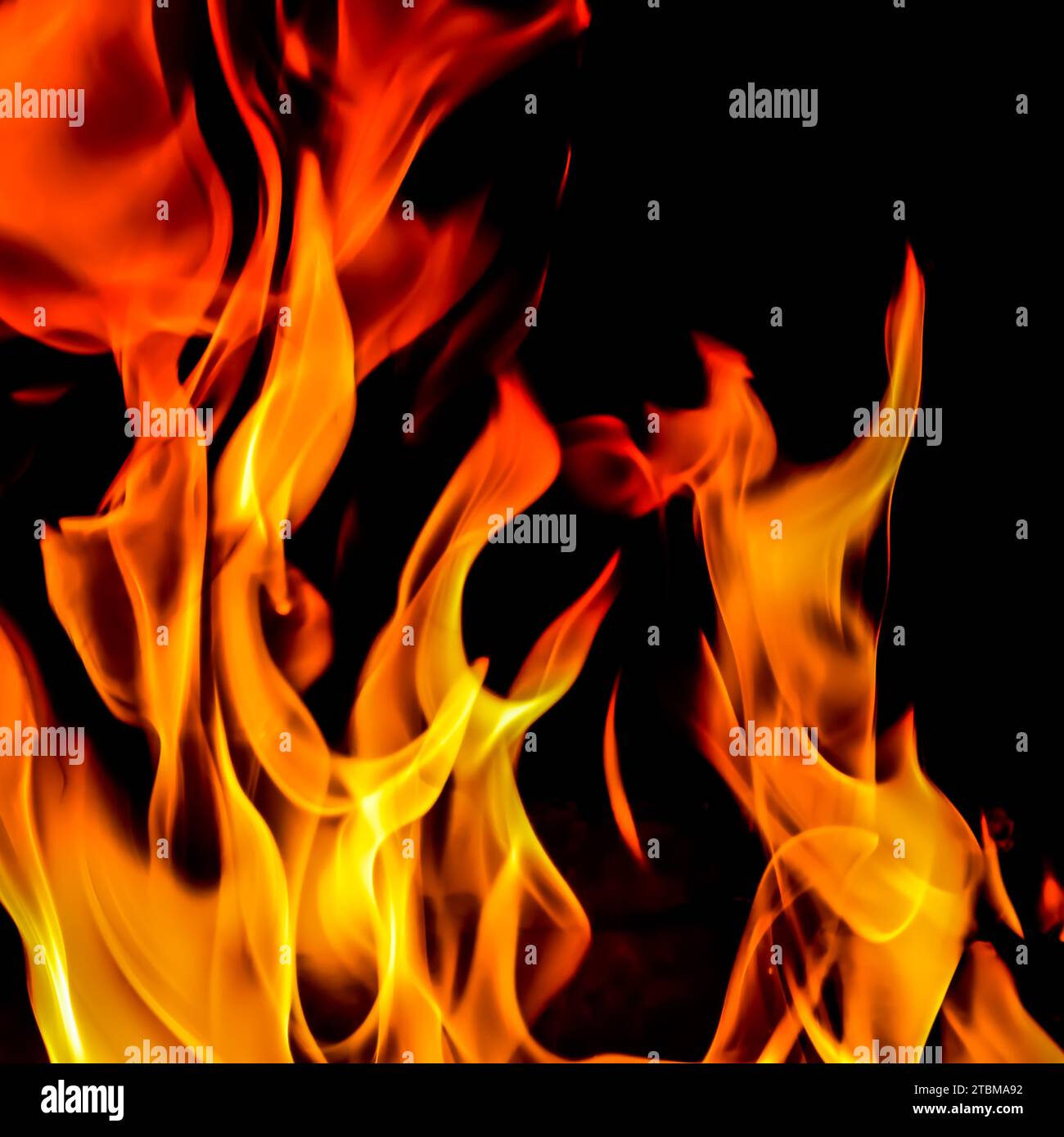 Fire flames on black background. High quality photo Stock Photo - Alamy