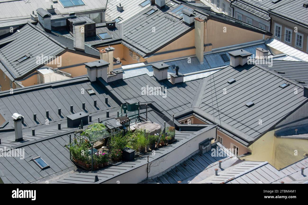 Urban rooftop garden, Green oasis on the top of the roof. Salzburg ...
