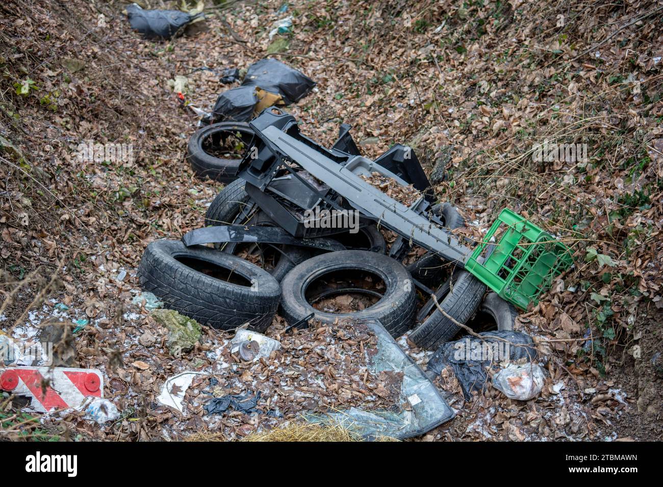 Old used car tires in the forest. Illegal dump of tires in the nature. Environmental pollution ...
