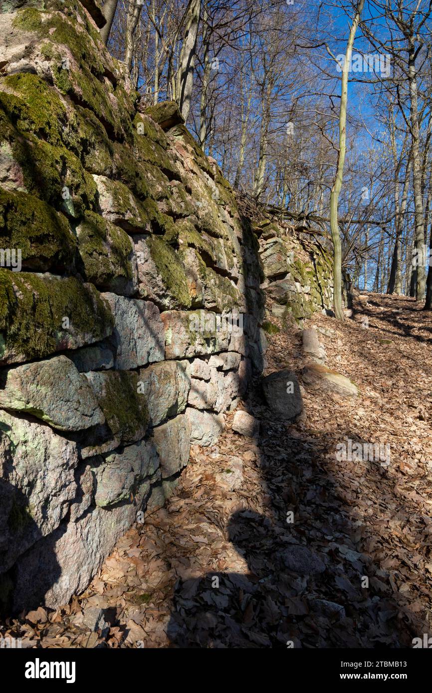 Ancient fragments of rock wall in the forest protecting road from ...