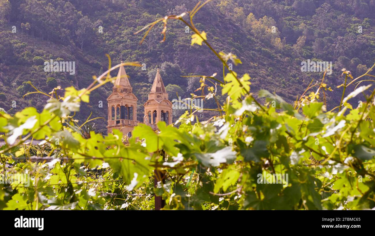 Grapevines, vine leaves, church, goeock towers, Valdichiesa, Salina ...