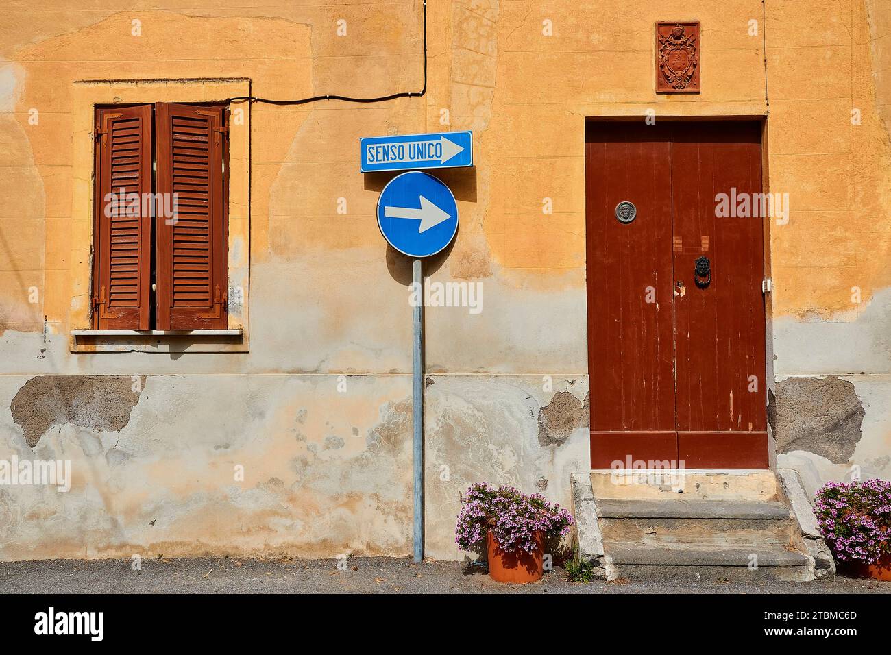 House wall, one-way street sign, brown door, brown shutters, flower pot ...