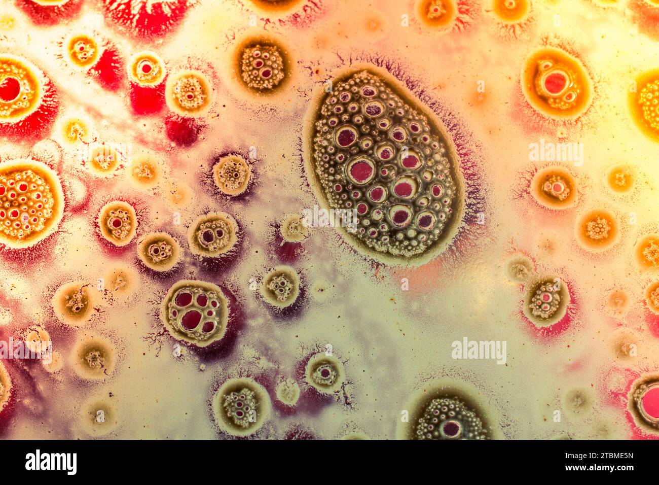Bubble form structure hi-res stock photography and images - Alamy