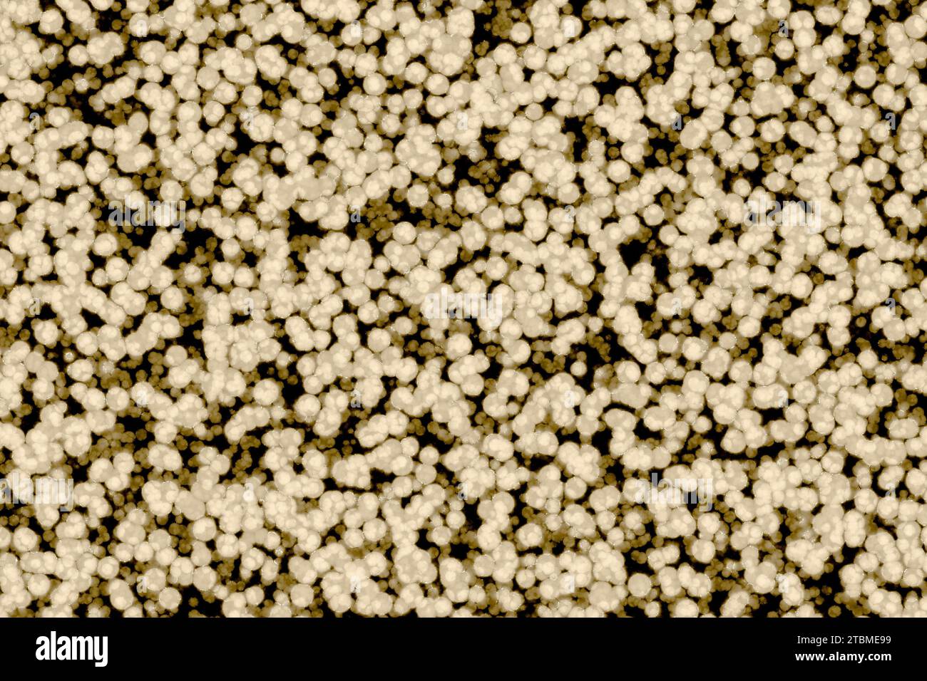 Shape of bacterial cell: cocci, bacilli, spirilla bacteria background ...