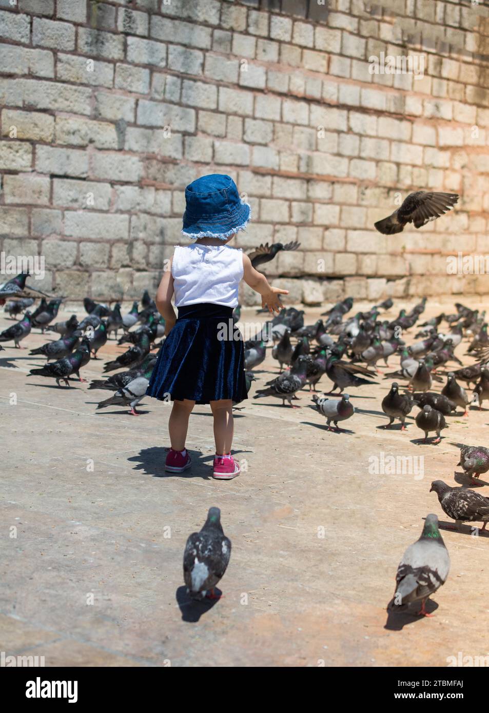 Little kid amid Lovely pigeon birds feed in an urban environment Stock ...