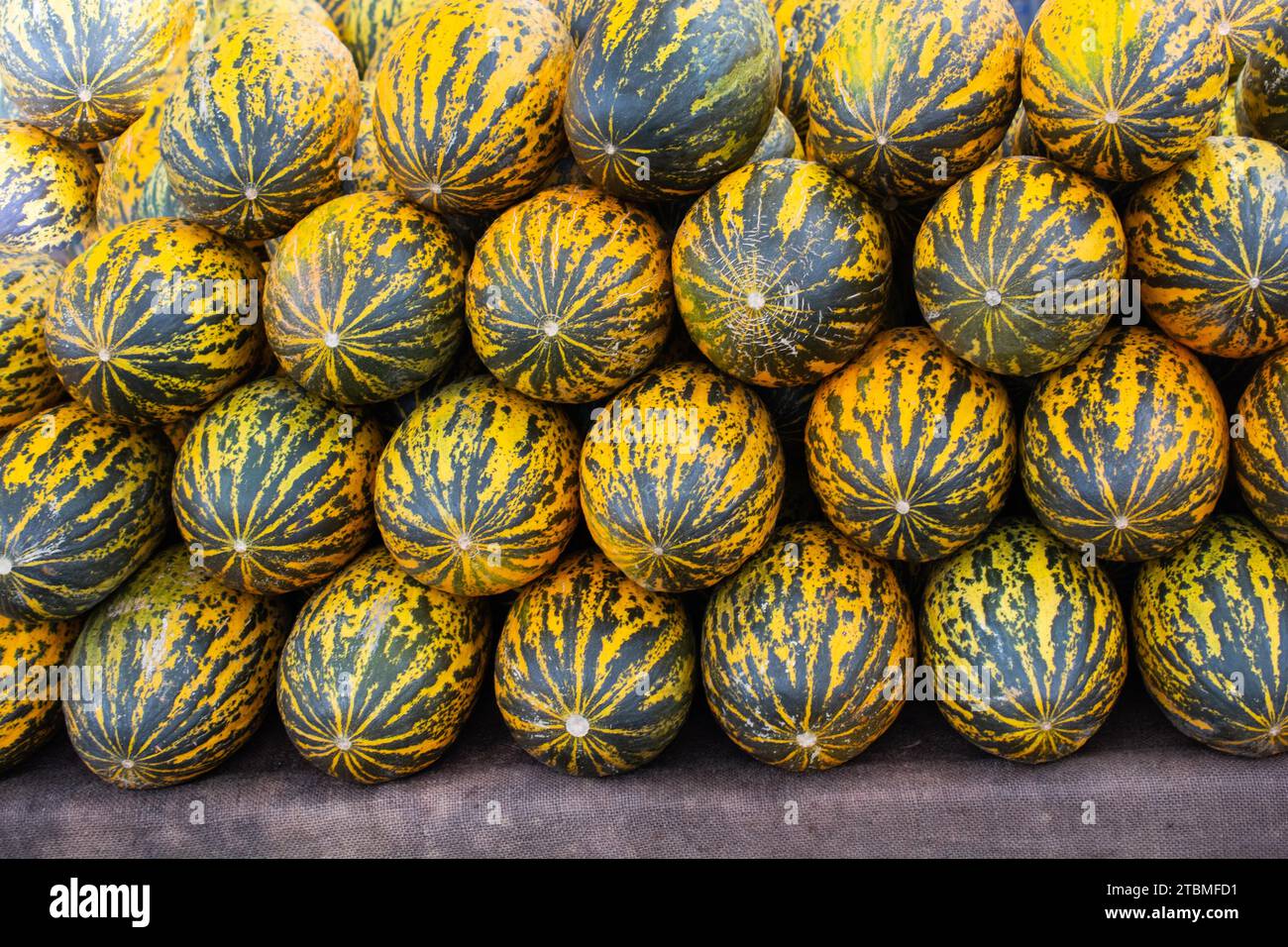 Beautiful tasty ripe melons at the market Stock Photo - Alamy