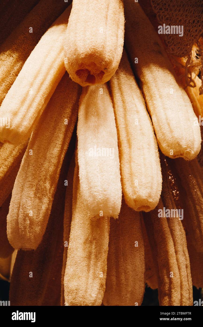 Natural sponges on sale hi-res stock photography and images - Alamy